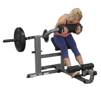 Body-Solid Ab & Back Machine GCAB360 (New) - Expert Fitness Supply