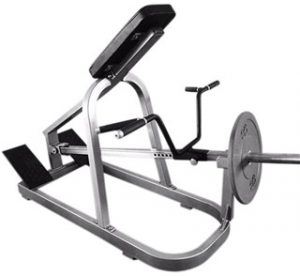 Muscle D Power Leverage Line Leverage Row (T-Bar Row) (New) - Expert ...