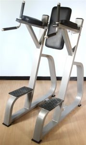 Buy Muscle D MD Series VKR Vertical Knee Raise | Expert Fitness Supply